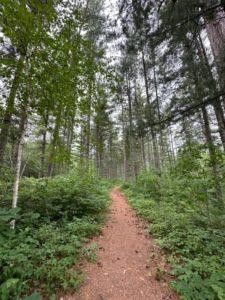 Welcome to Breezy Point, MN | What to do in Breezy Point